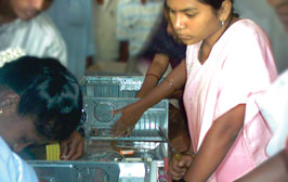 DHAN Foundation