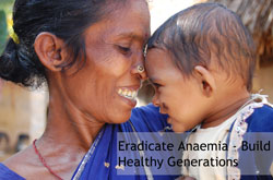 Development of Human Action (DHAN)