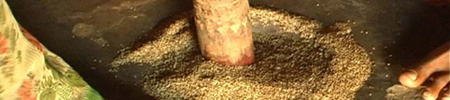 Small Millets